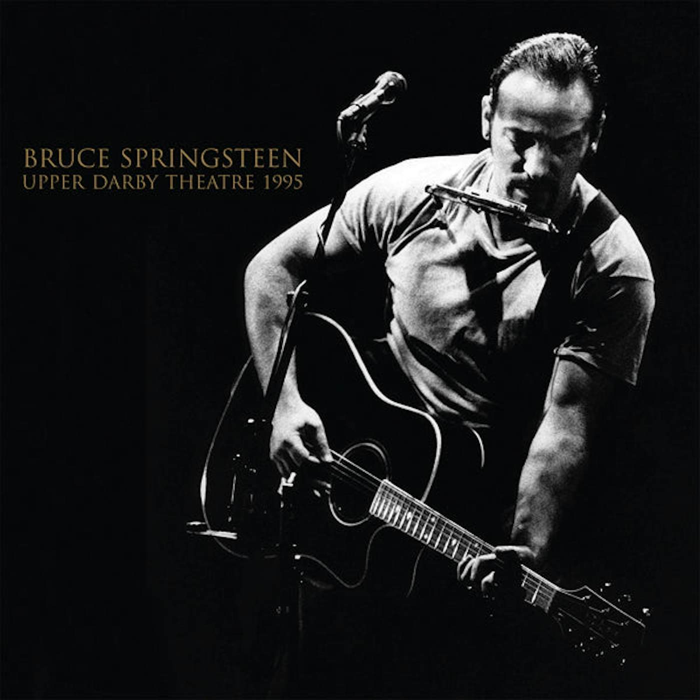 Bruce Springsteen LP - Upper Darby Theatre 1995 (Vinyl)