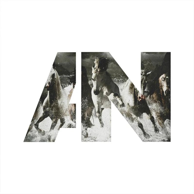 AWOLNATION LP - Run (Vinyl)
