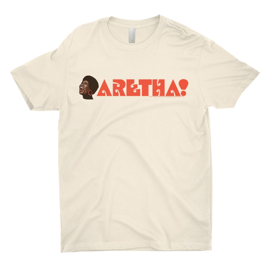 Aretha Franklin T-Shirt | Cartoon Logo Aretha Franklin Shirt