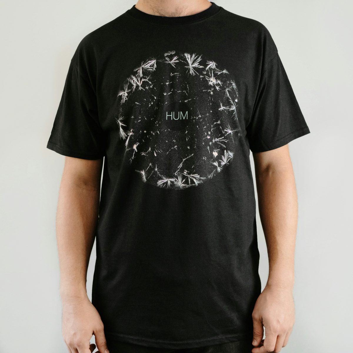 Hum Shirts, Hum Merch, Hum Hoodies, Hum vinyl records, Hum Posters, Hum ...