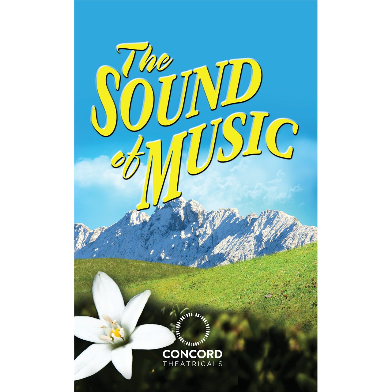 SOUND OF MUSIC Store: Official Merch & Vinyl