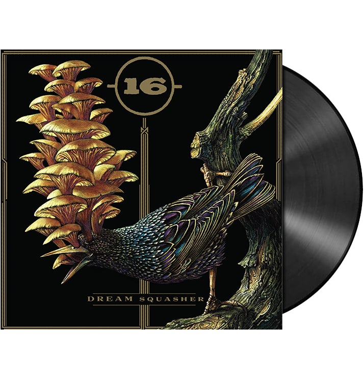 16 - 'Dream Squasher' LP (Vinyl)