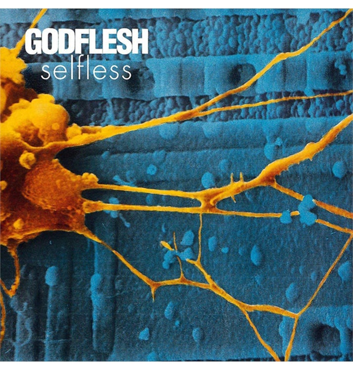 Godflesh Shirts, Godflesh Merch, Godflesh Hoodies, Godflesh Vinyl ...