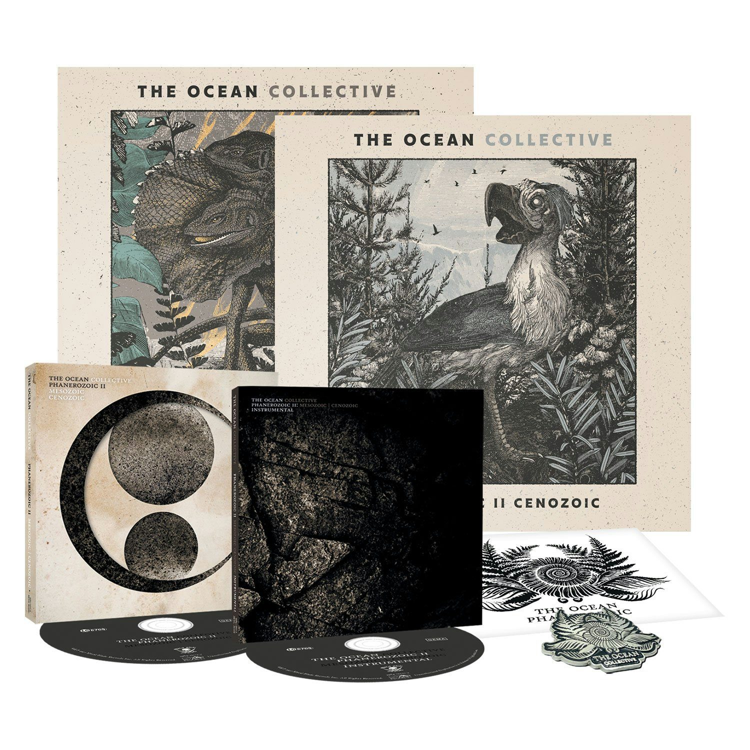 Phanerozoic Ii: Mesozoic | Cenozoic (Box Completion Bundle)