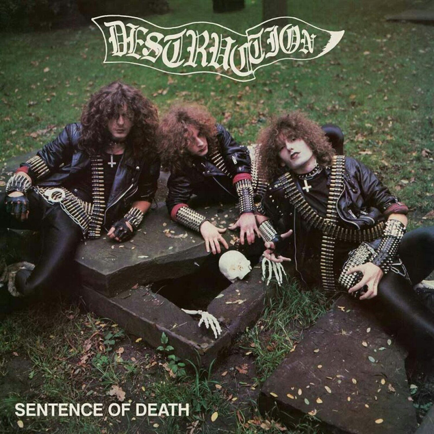 Destruction Sentence Of Death Vinyl Record