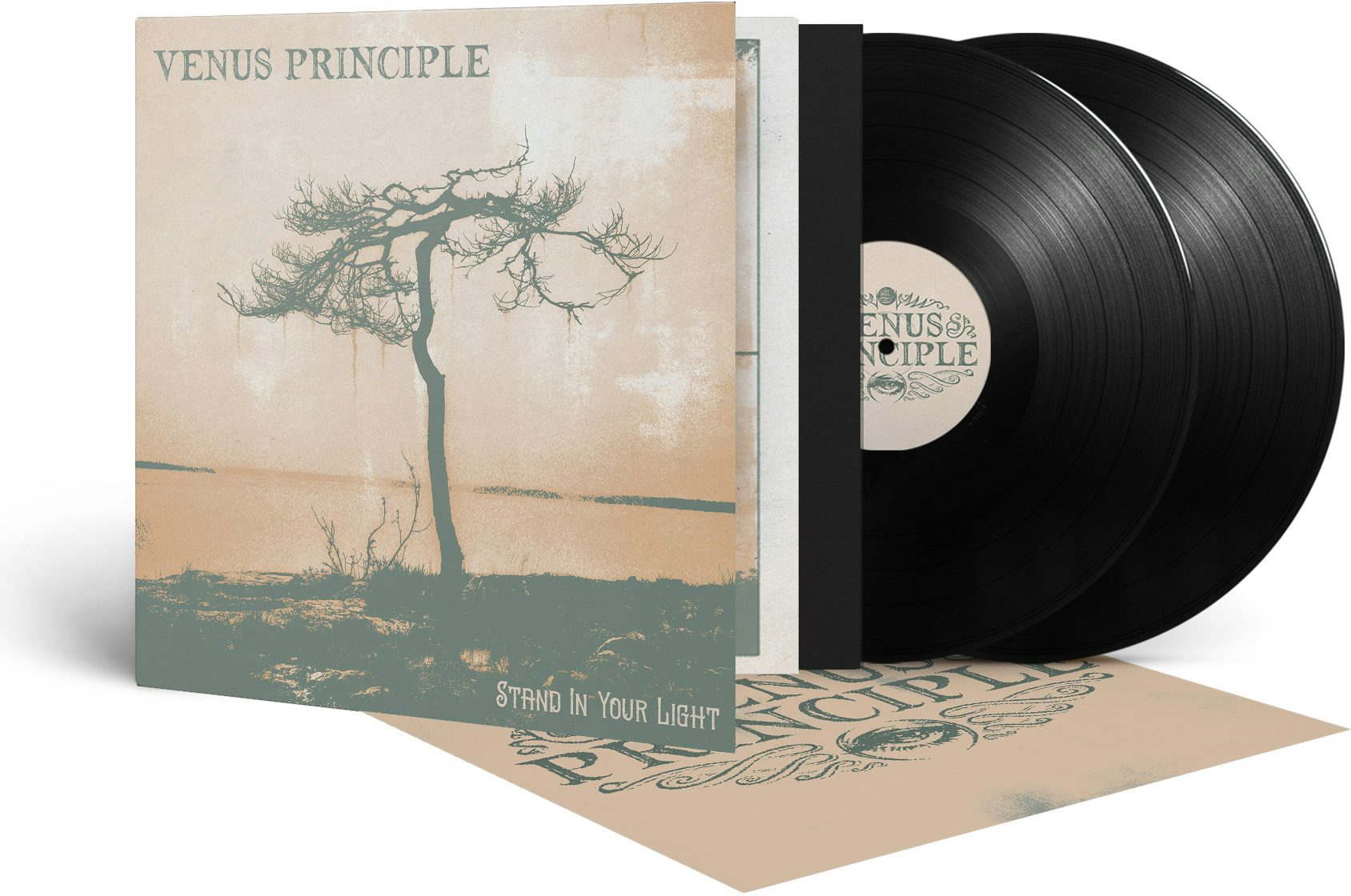 Venus Principle Stand In Your Light Vinyl Record