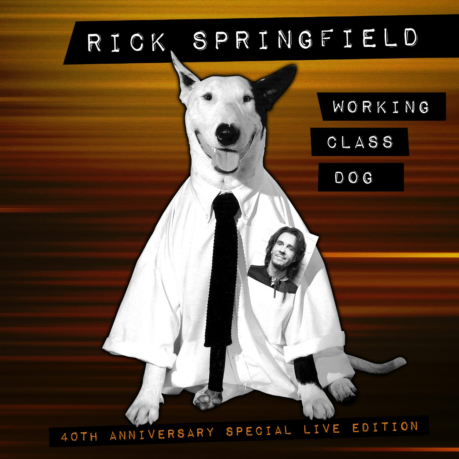 Rick Springfield Working Class Dog (40 Th Anniv. Special L Vinyl Record
