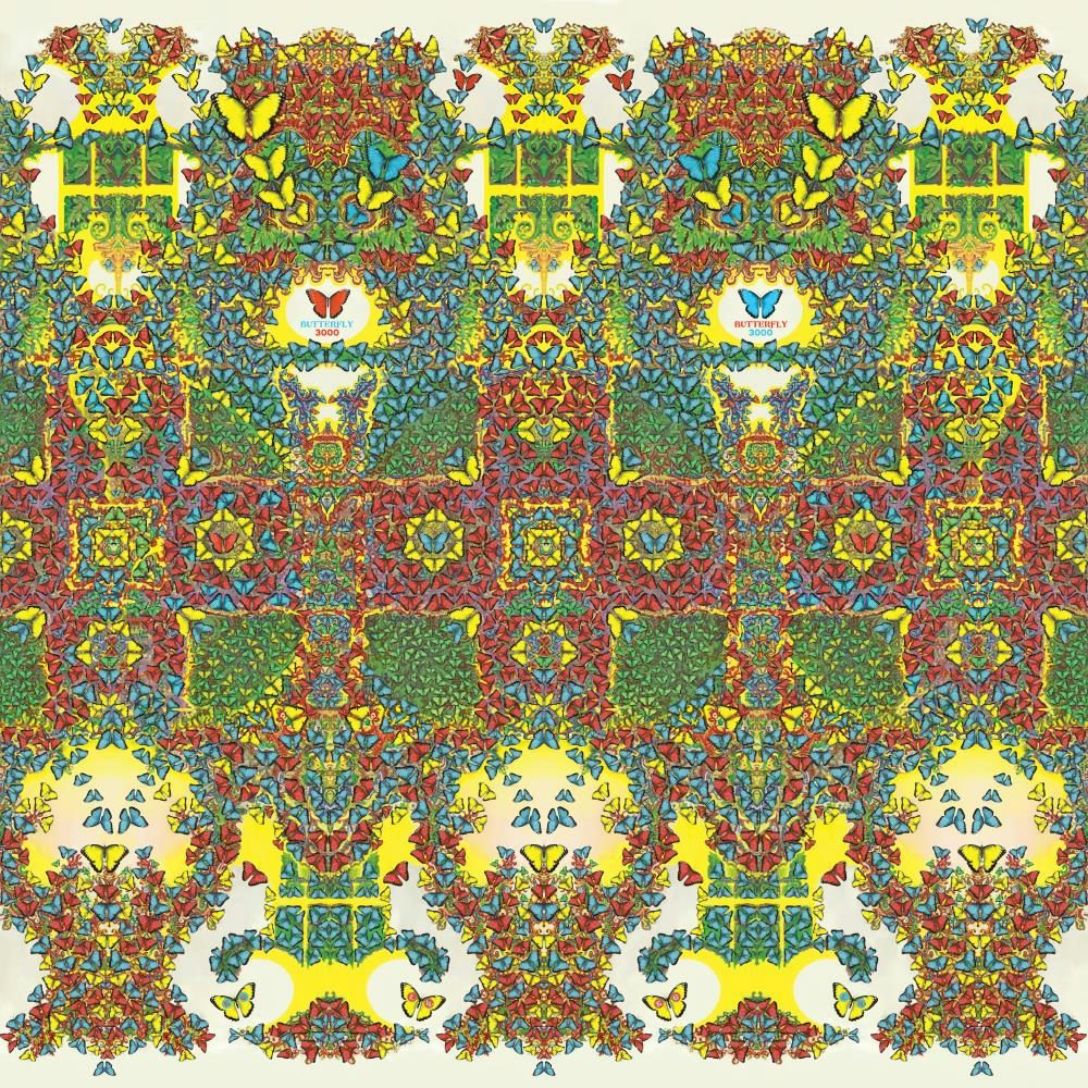 King Gizzard & The Lizard Wizard BUTTERFLY 3000 (ENGLISH COVER ...