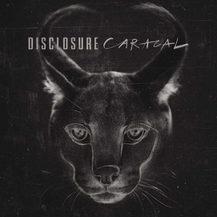 Disclosure Shirts,Disclosure Merch,Disclosure Hoodies,Disclosure Vinyl ...