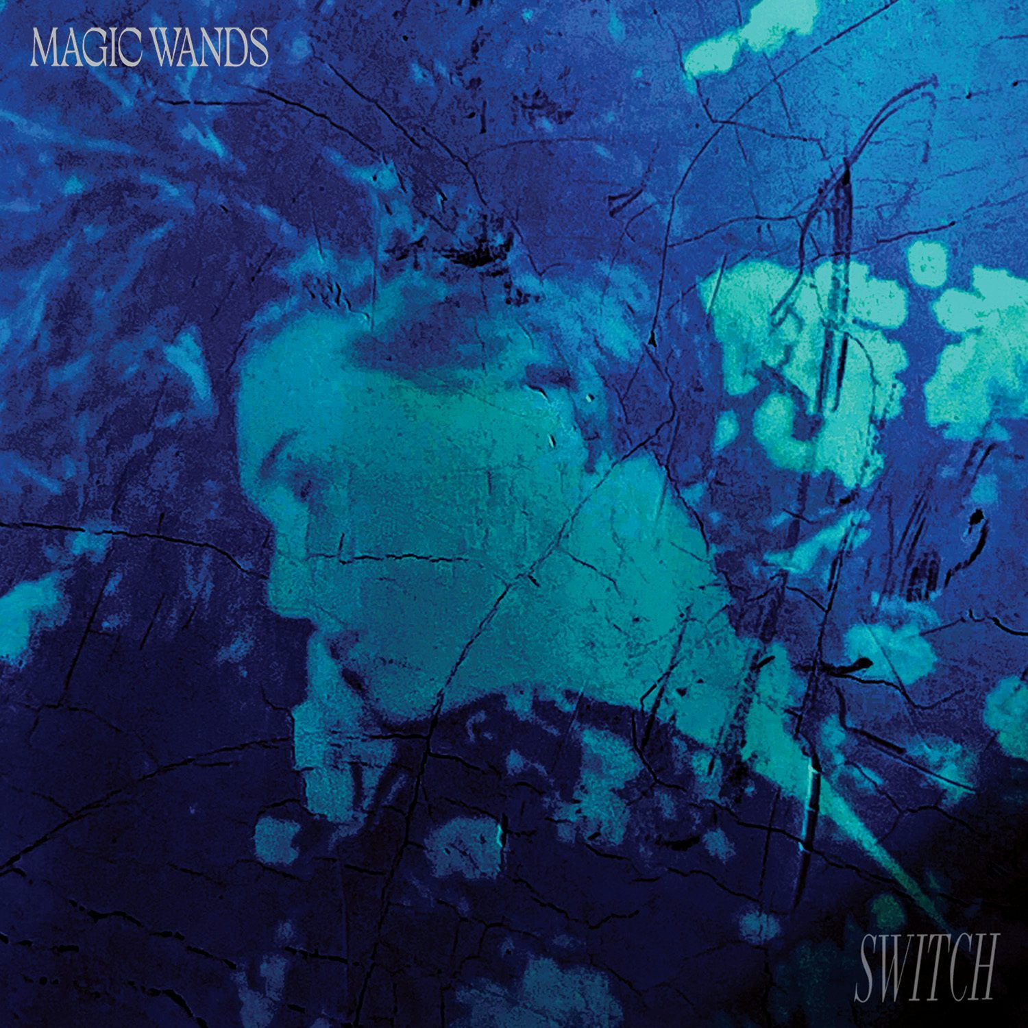 Magic Wands Switch CD