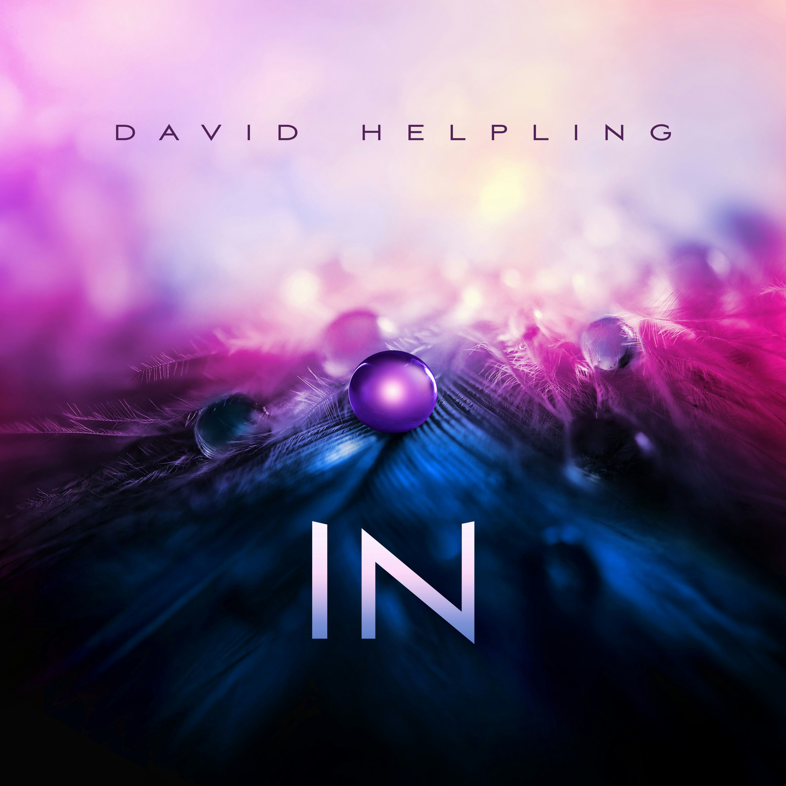 David Helpling In Vinyl Record