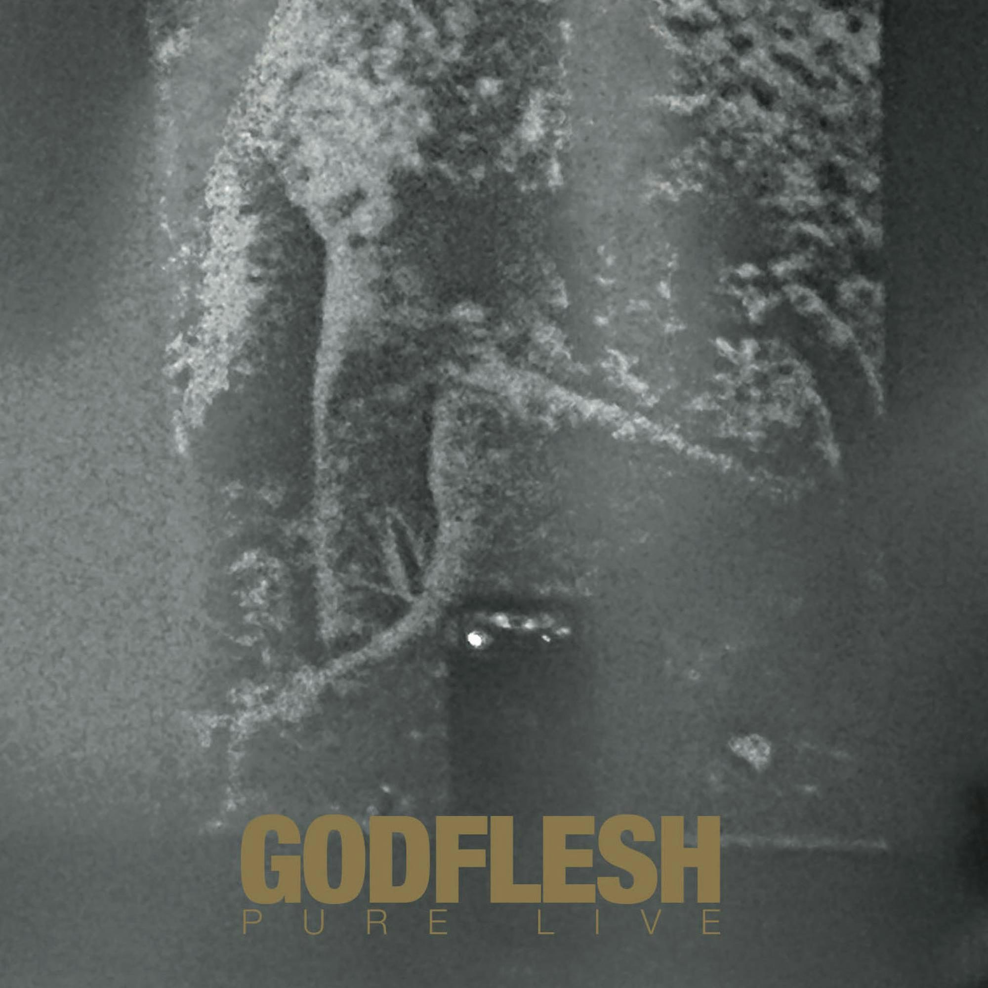 Godflesh Pure Live CD