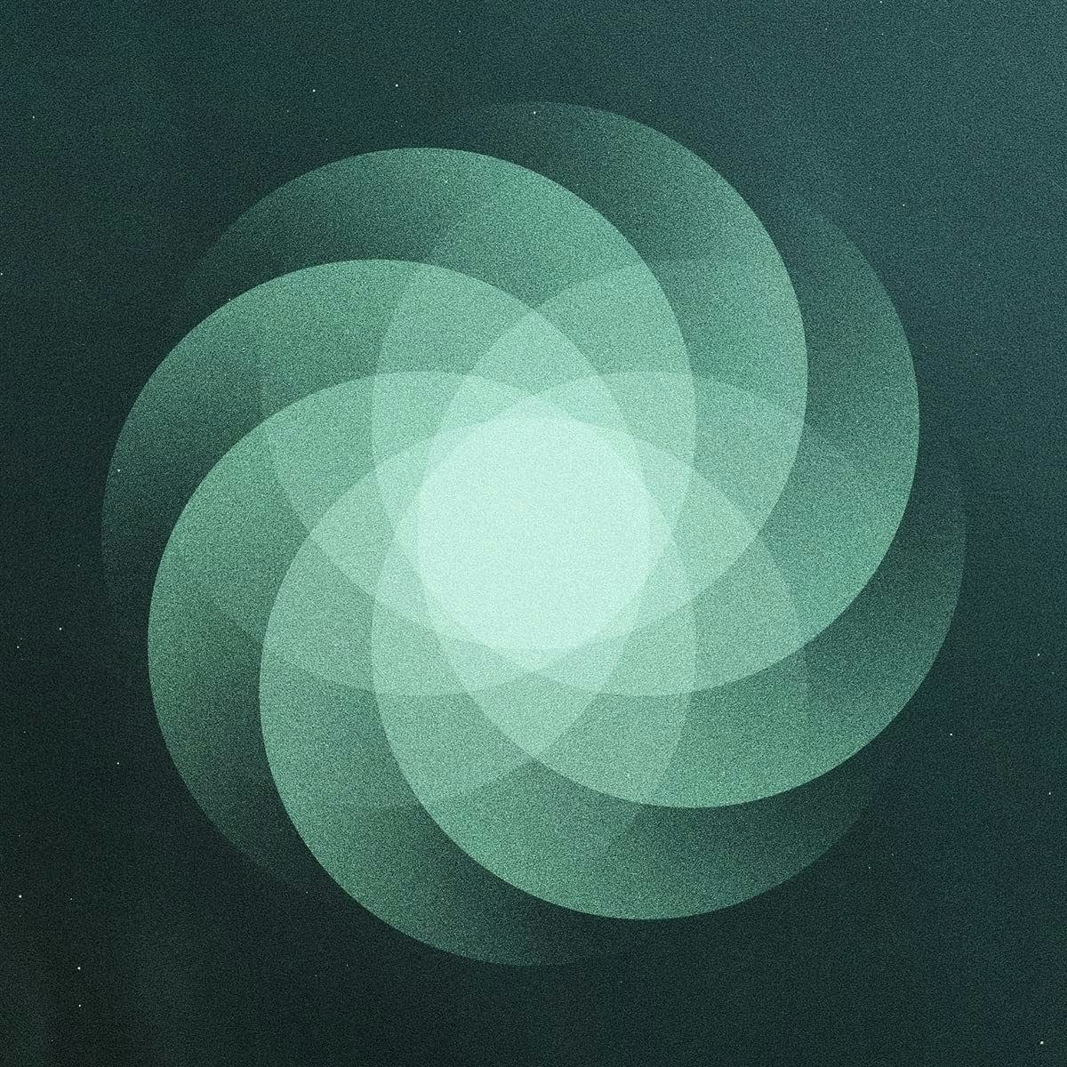 SOM The Shape Of Everything Vinyl Record