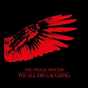 The Angelic Process Store: Official Merch & Vinyl
