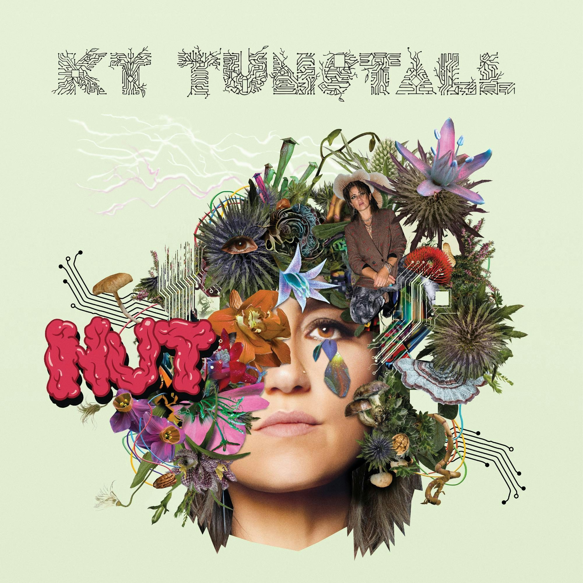 KT Tunstall Nut Vinyl Record