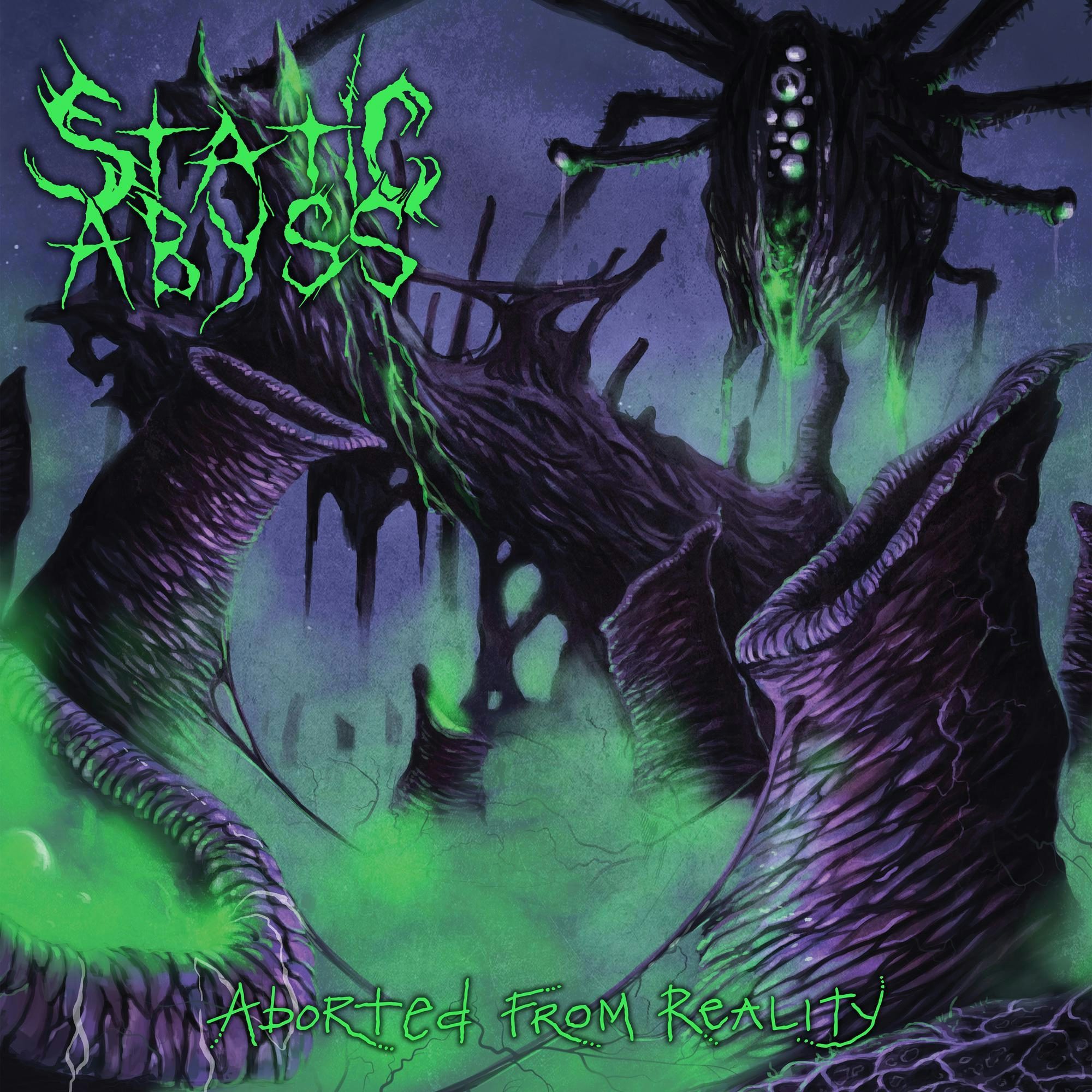 Static Abyss Aborted From Reality Vinyl Record