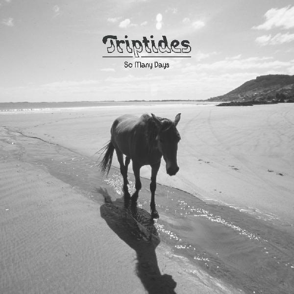 Triptides So Many Days CD