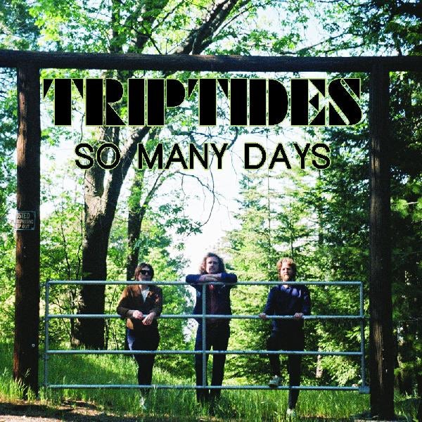 Triptides So Many Days Ep Vinyl Record