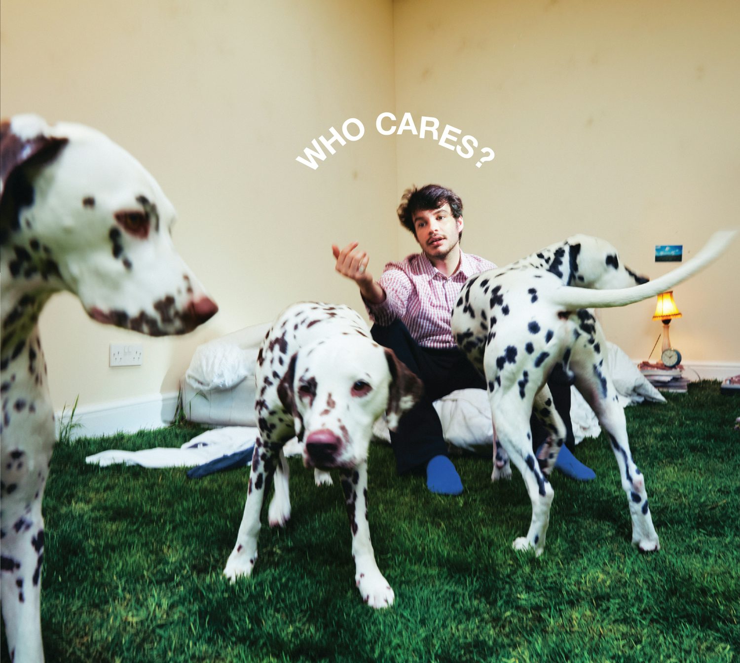 Rex Orange County Who Cares? CD