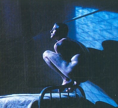 Peter Gabriel Birdy (OST) CD