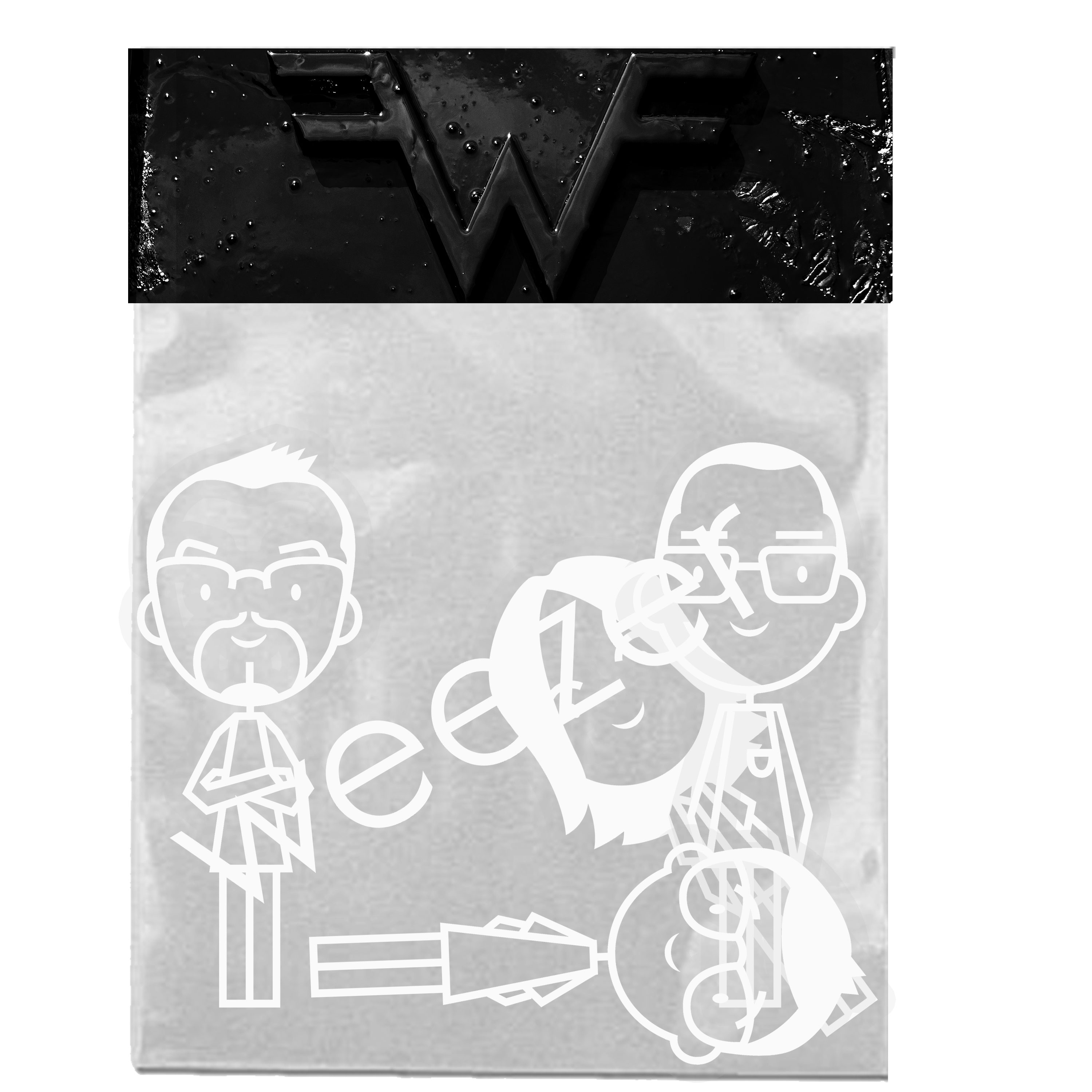 Weezer Vinyl Record Store
