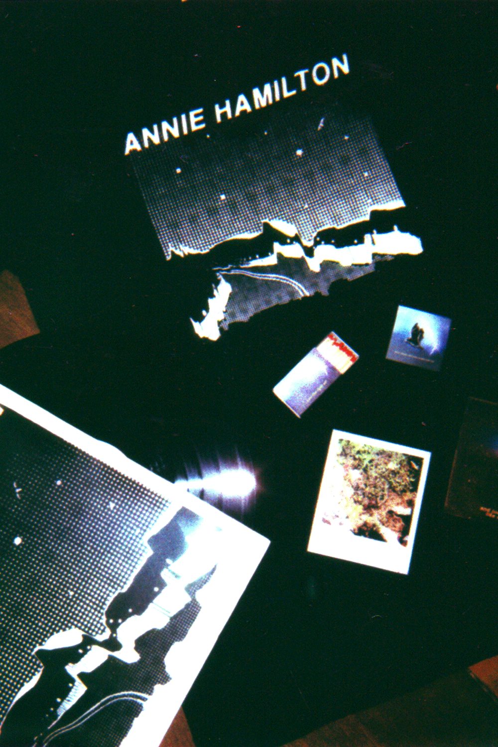 Annie Hamilton DELUXE MERCH BUNDLE