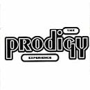 Prodigy Of Mobb Deep EXPERIENCE Vinyl Record