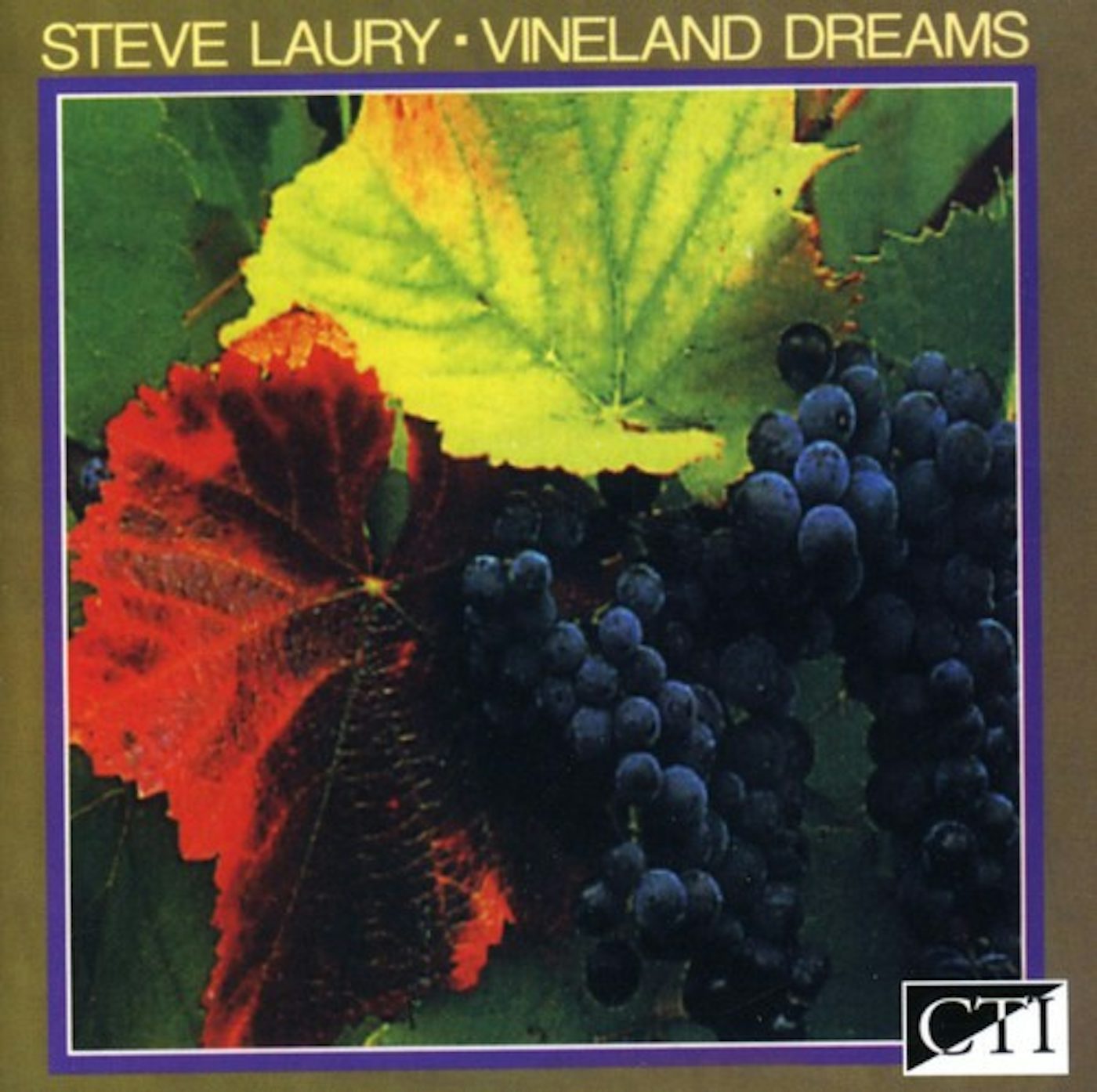 Steve Laury VINELAND DREAMS CD