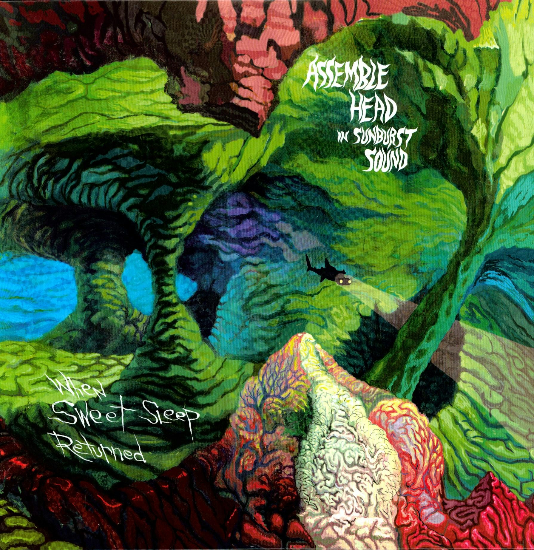 Assemble Head In Sunburst Sound Store: Official Merch & Vinyl