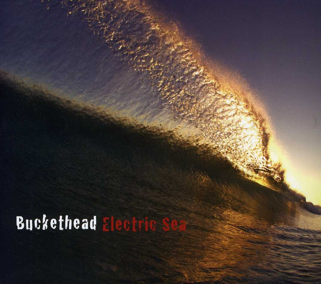 Buckethead Store: Official Merch & Vinyl