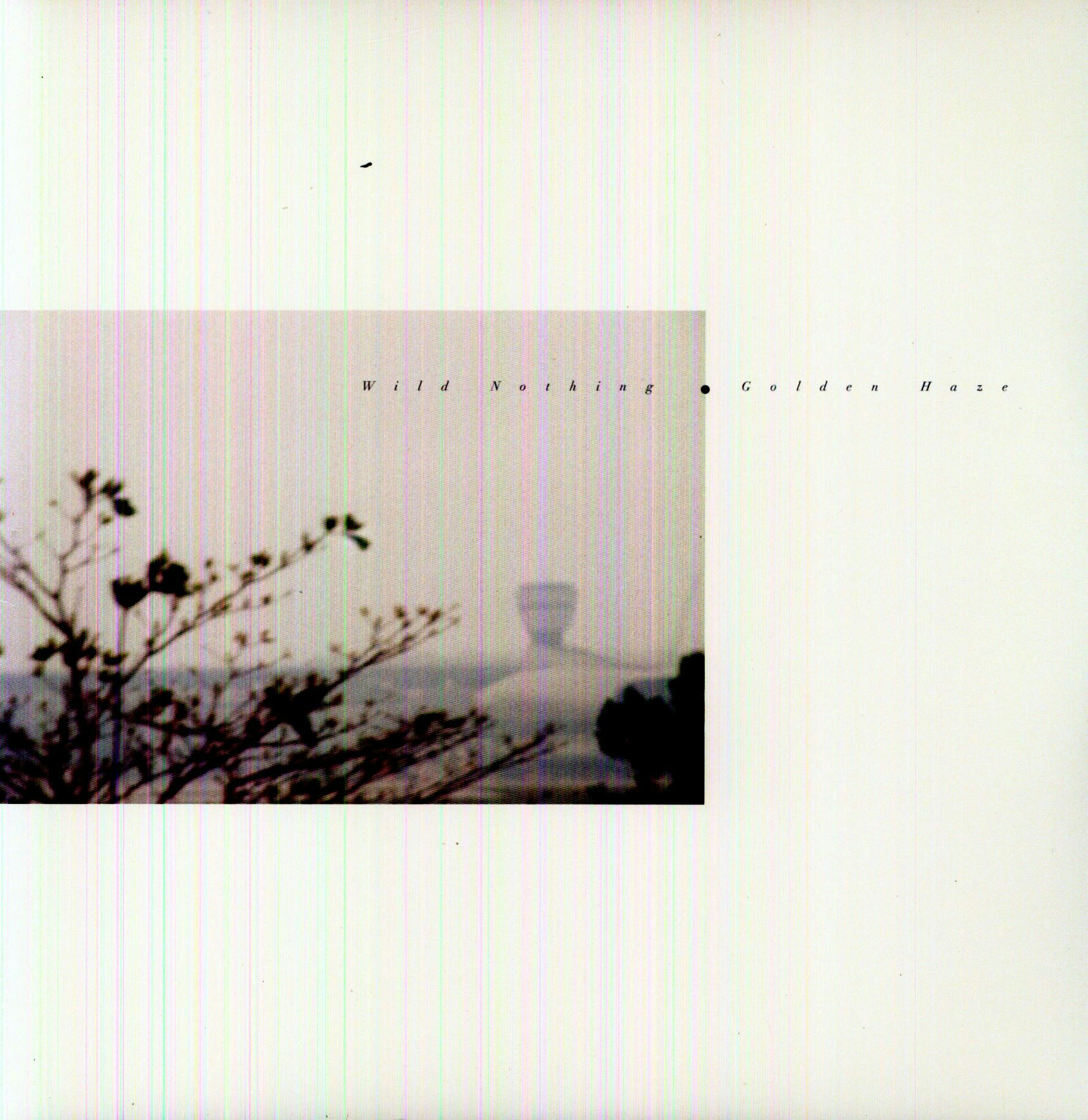 Wild Nothing Merch, Shirts, Accessories & Vinyl Store