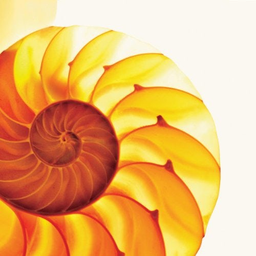 Samuel Jackson 5 Store: Official Merch & Vinyl