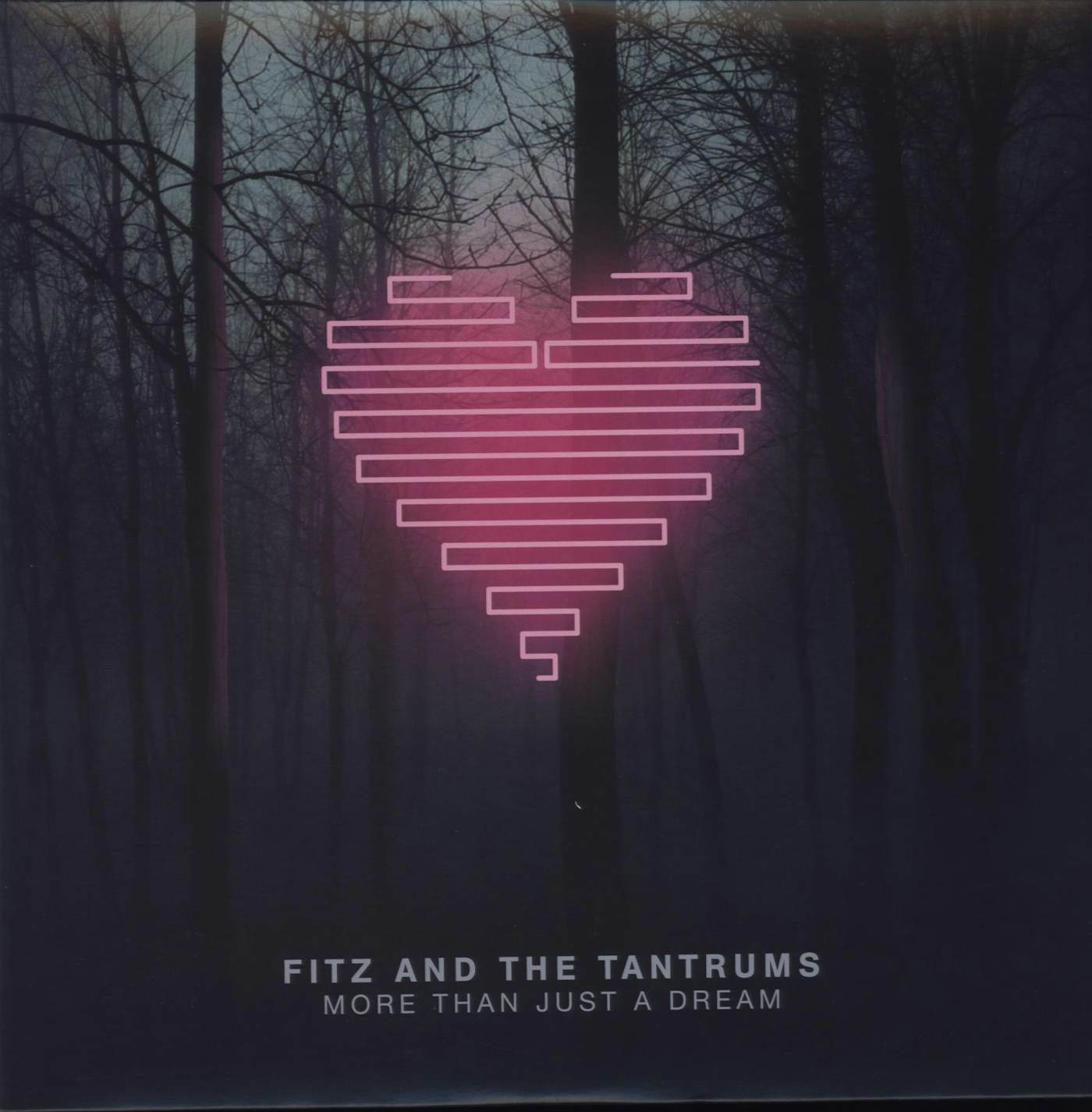 Fitz and The Tantrums More Than Just A Dream Vinyl Record