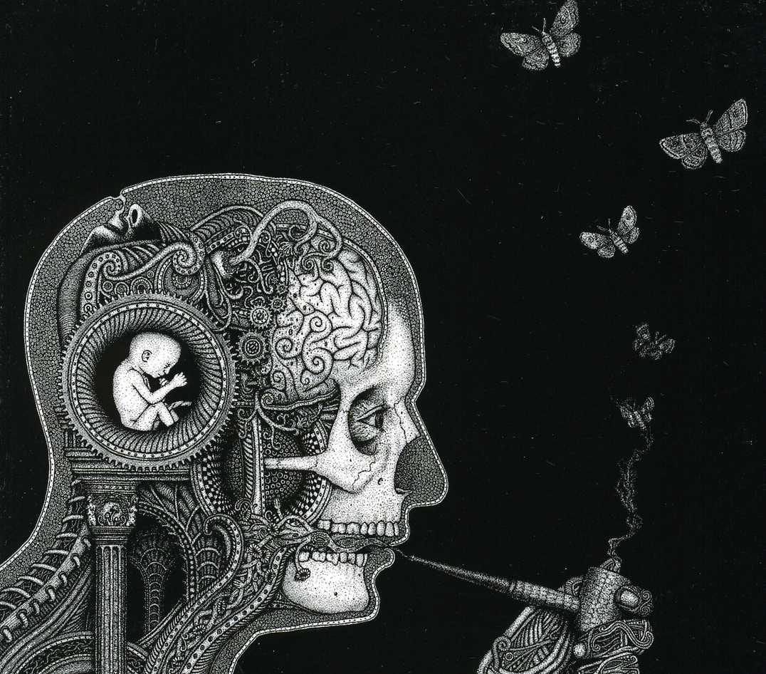 Soen COGNITIVE CD
