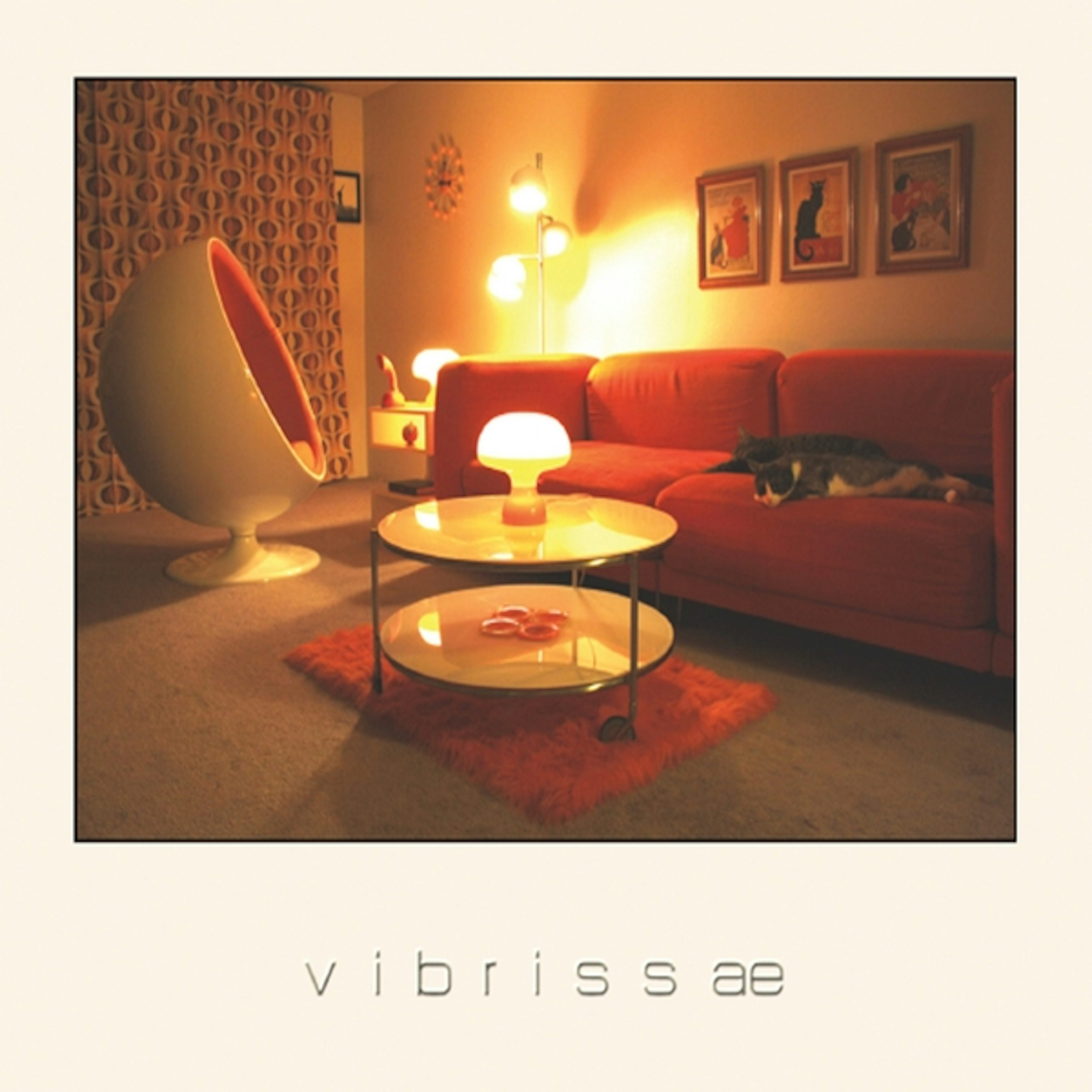 Vibrissae CD