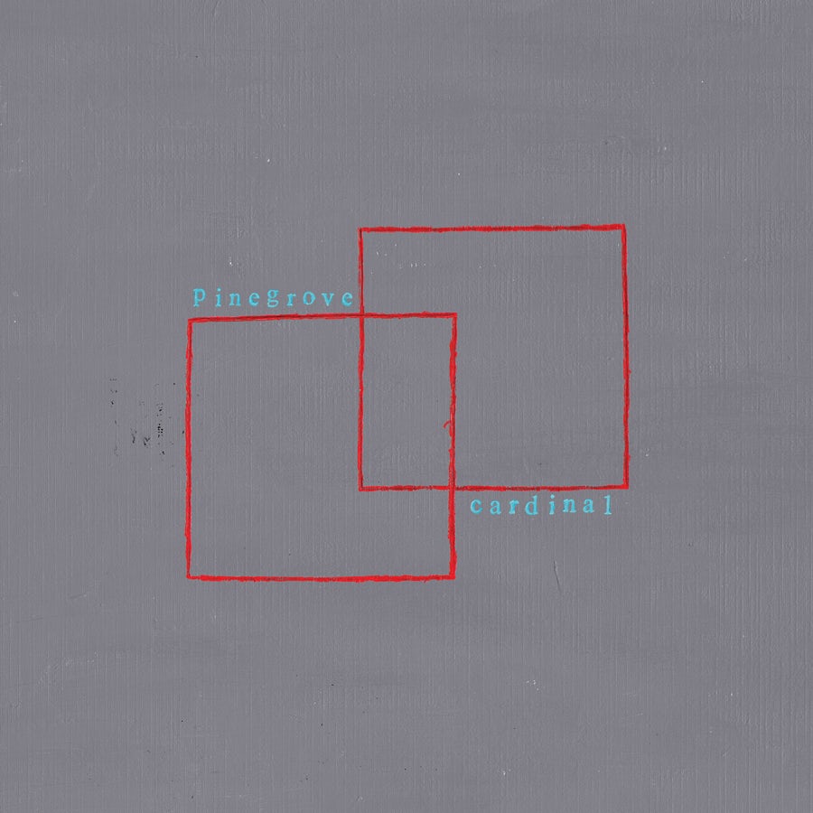 Pinegrove Shirts,Pinegrove Merch,Pinegrove Hoodies,Pinegrove Vinyl ...