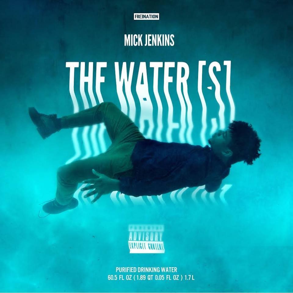 Mick Jenkins WATERS Vinyl Record