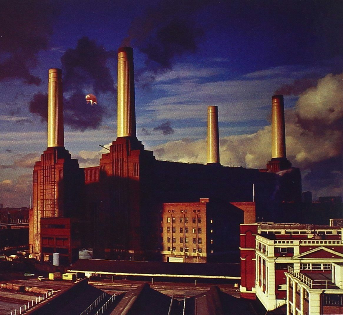 Pink Floyd Merch, Shirts, Posters, & Vinyl Store
