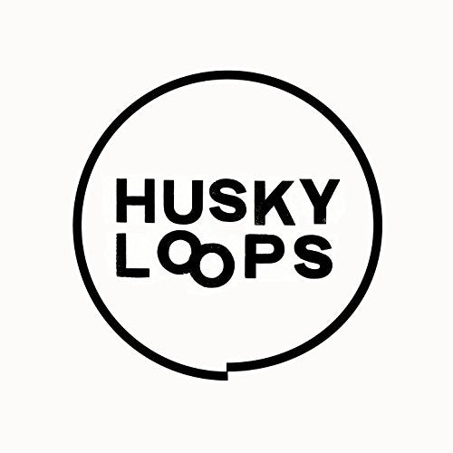Husky Loops EP2 Vinyl Record