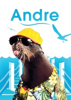 Andre DVD
