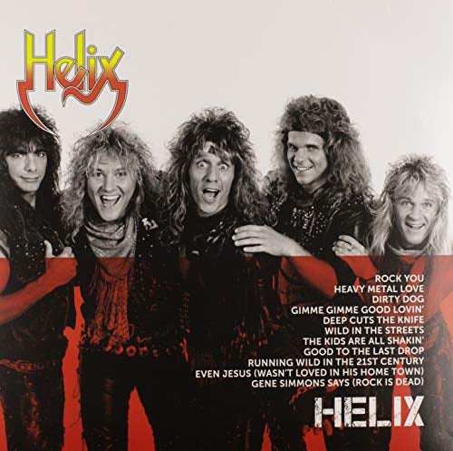 Helix ICON Vinyl Record
