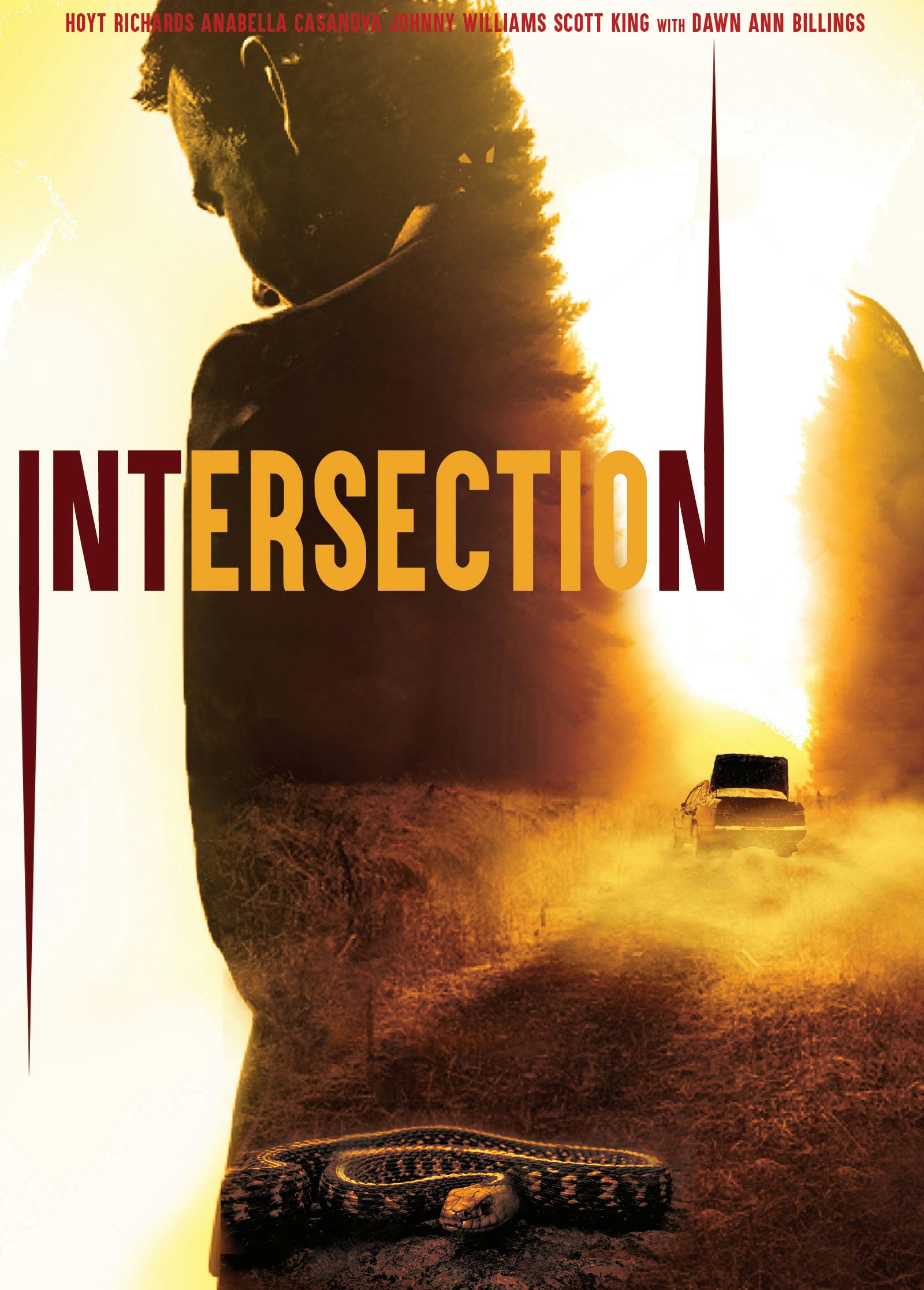INTERSECTION DVD