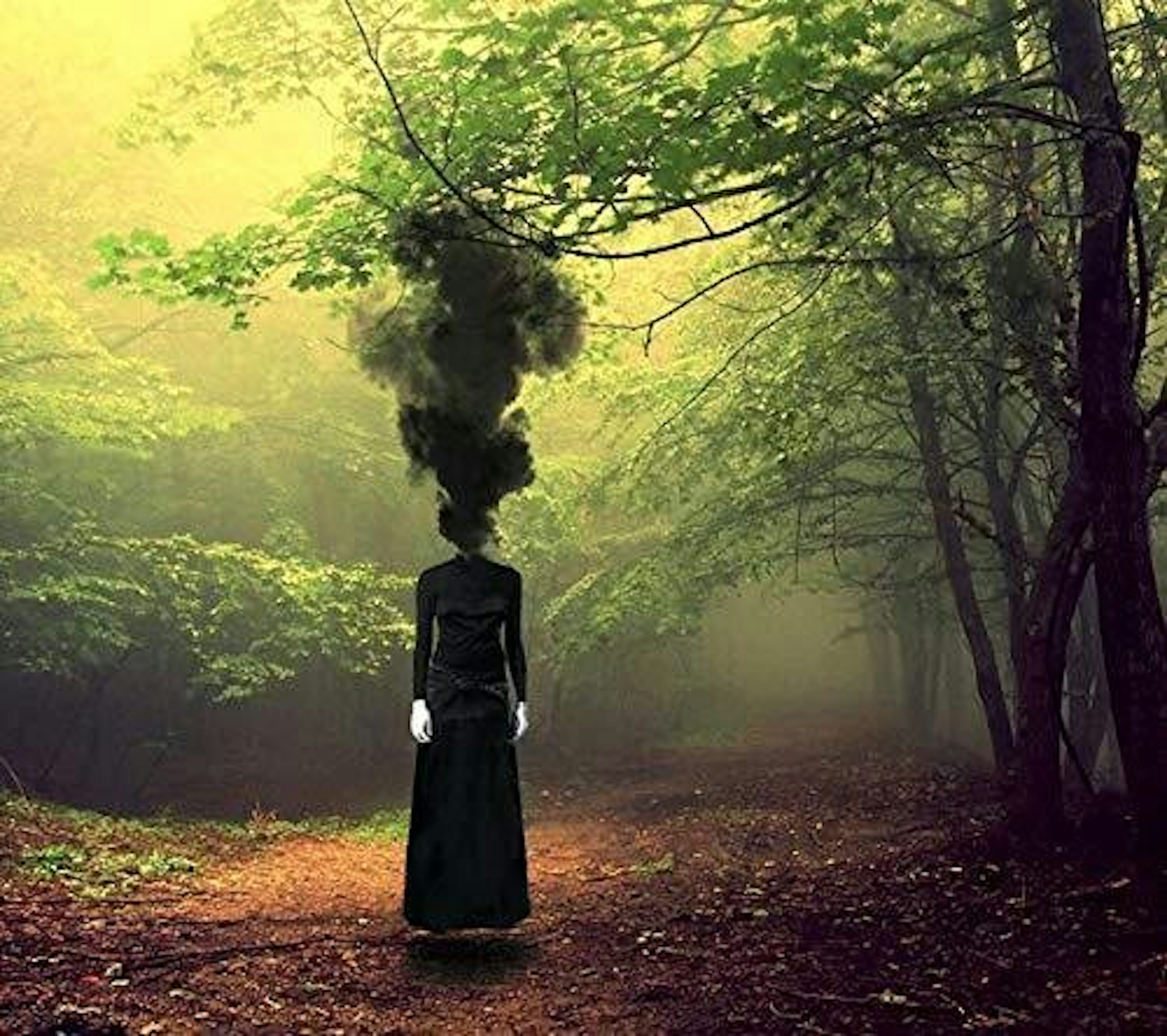 Herd of Instinct INCANTATION CD