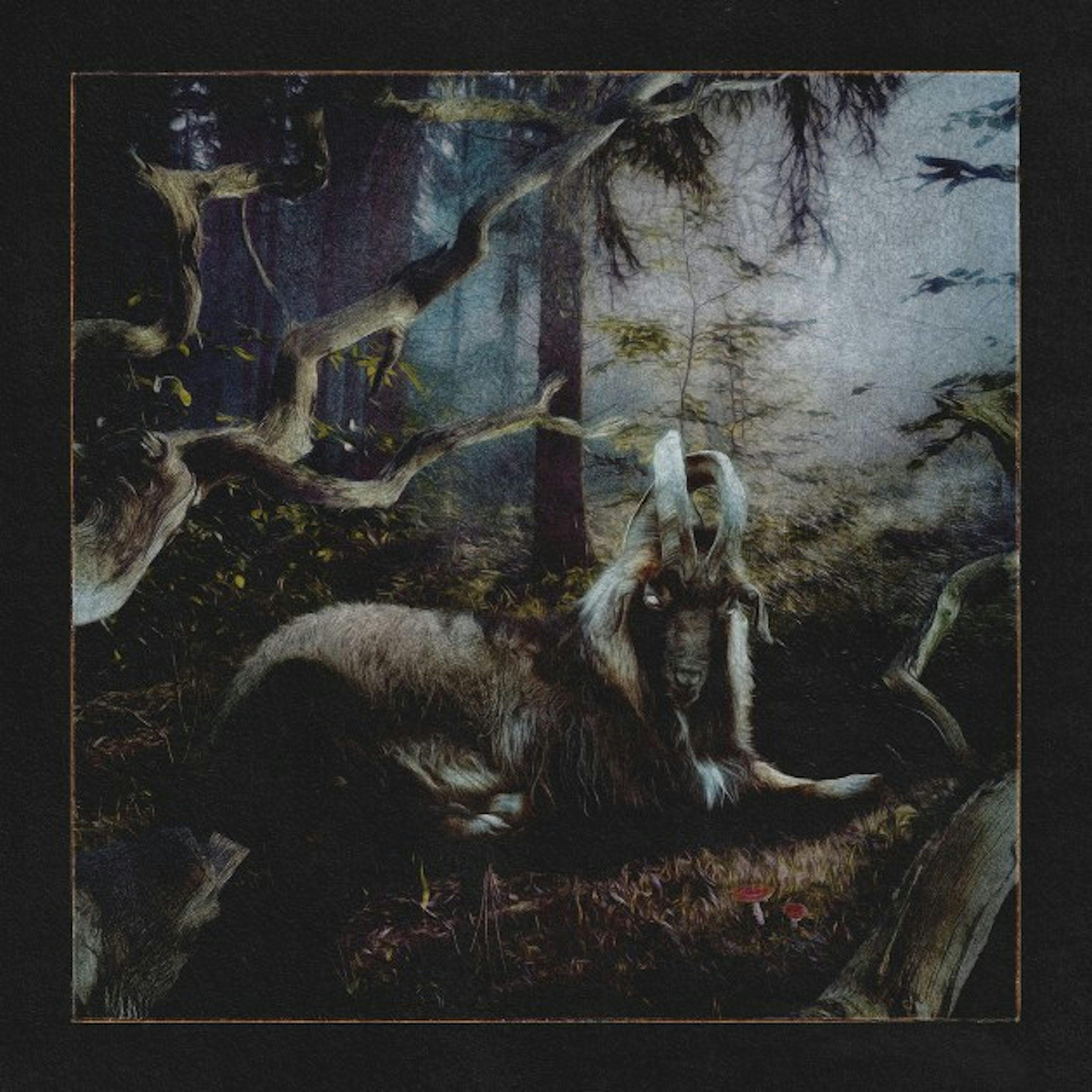 Earl Sweatshirt FEET OF CLAY Vinyl Record