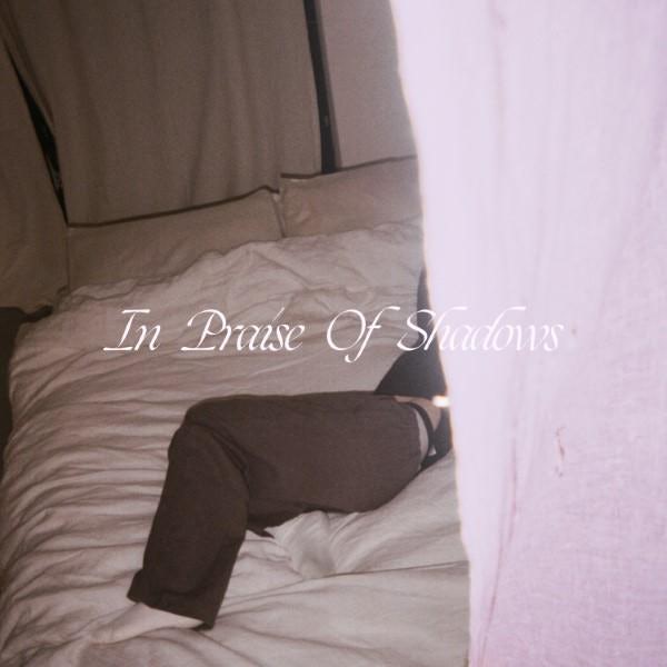 Puma Blue IN PRAISE OF SHADOWS CD