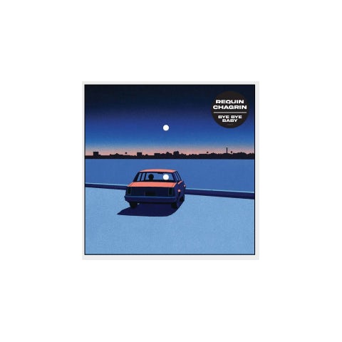 Requin Chagrin Bye Bye Baby Vinyl Record