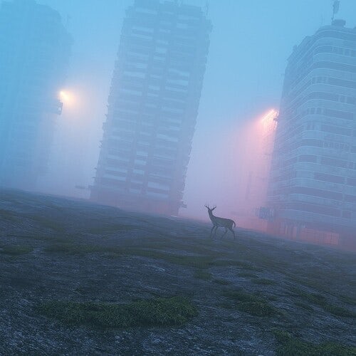 Leila Abdul-Rauf PHANTASIAI CD