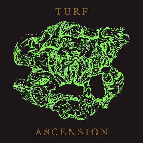 Bubblemath TURF ASCENSION CD