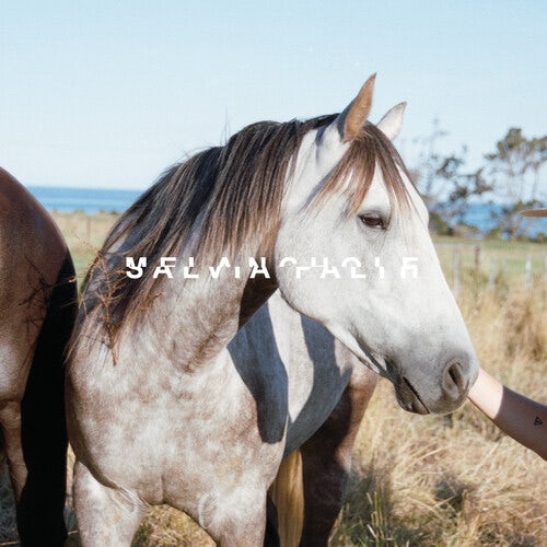 salvia palth MELANCHOLE CD