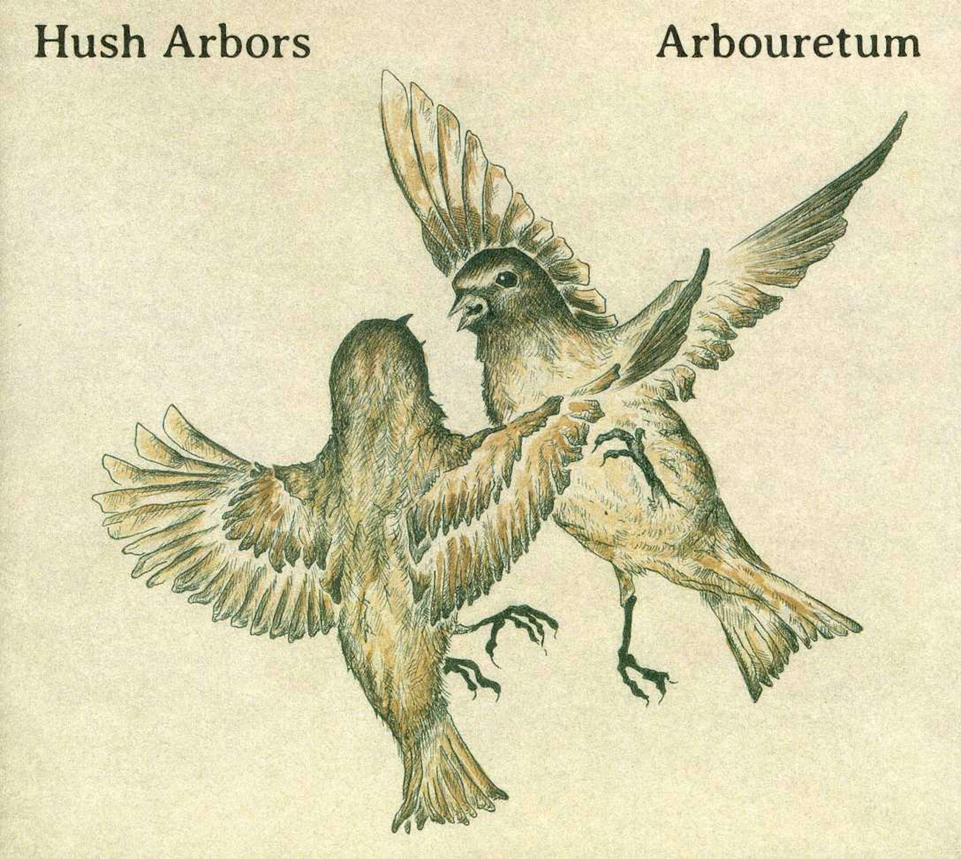 Hush Arbors/Arbouretum AUREOLA CD